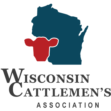 Welcome to our new Website!